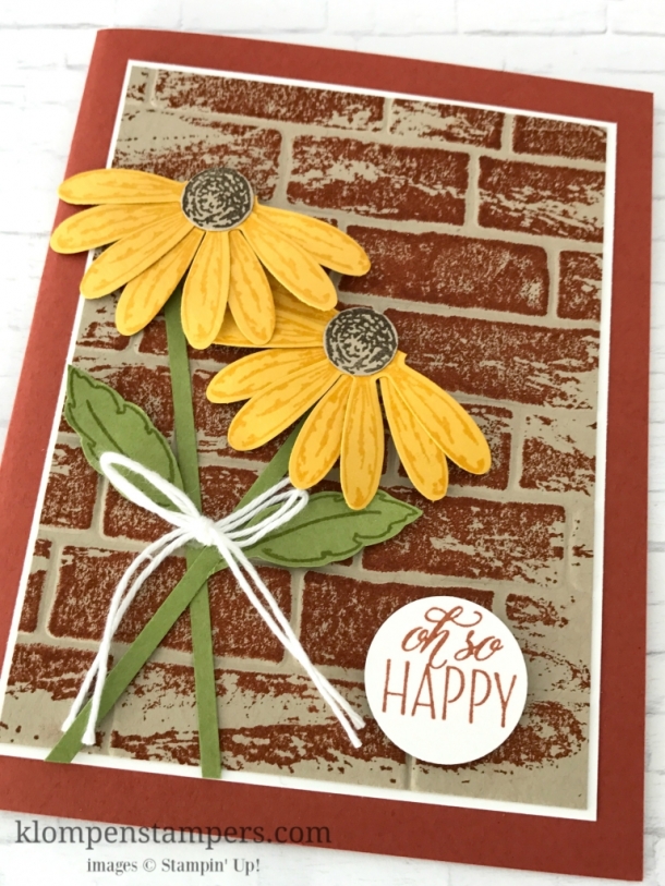 Tips For Stamping With the Daisy Delight Stamp Set - Klompen Stampers