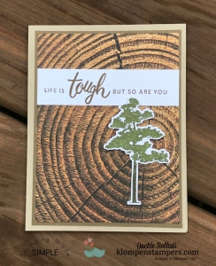 Design it With DSP - Masculine Cards with Wood Textures - Klompen Stampers