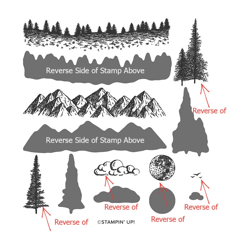 Stunning Reversible Stamps For Easy Card Making - Klompen Stampers