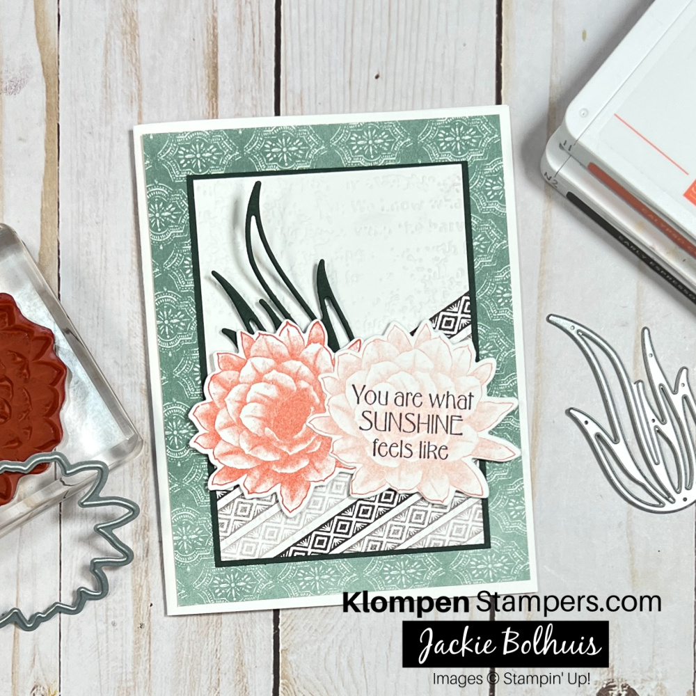 Desert Details Card Tutorial - 9 Unique Ideas You Can Make