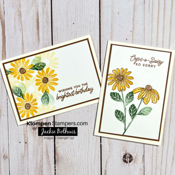 Quick and Easy Cards Anyone Can Make - Cheerful Daisies