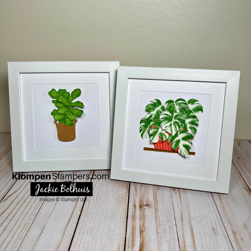 Houseplant Home Decor Craft | Happy Houseplants Kit