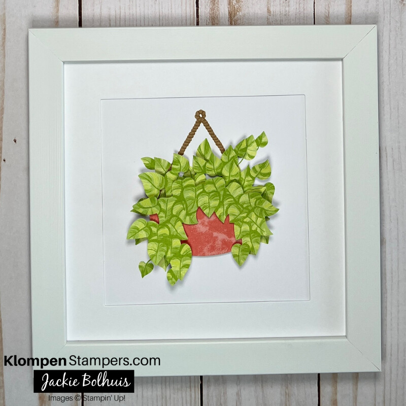 Houseplant Home Decor Craft | Happy Houseplants Kit